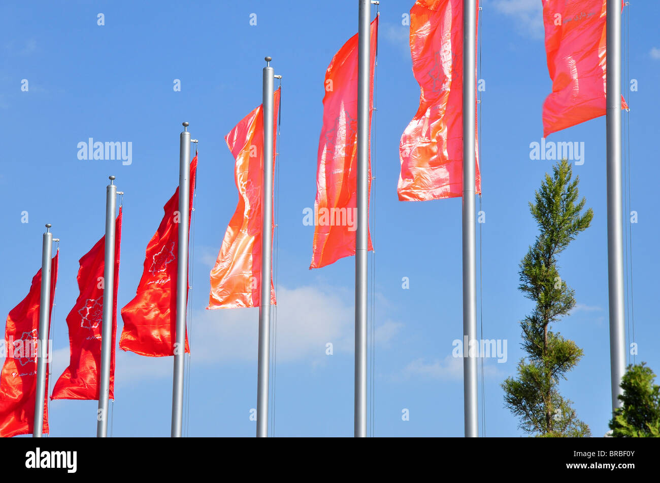 Flags and tree Stock Photo - Alamy