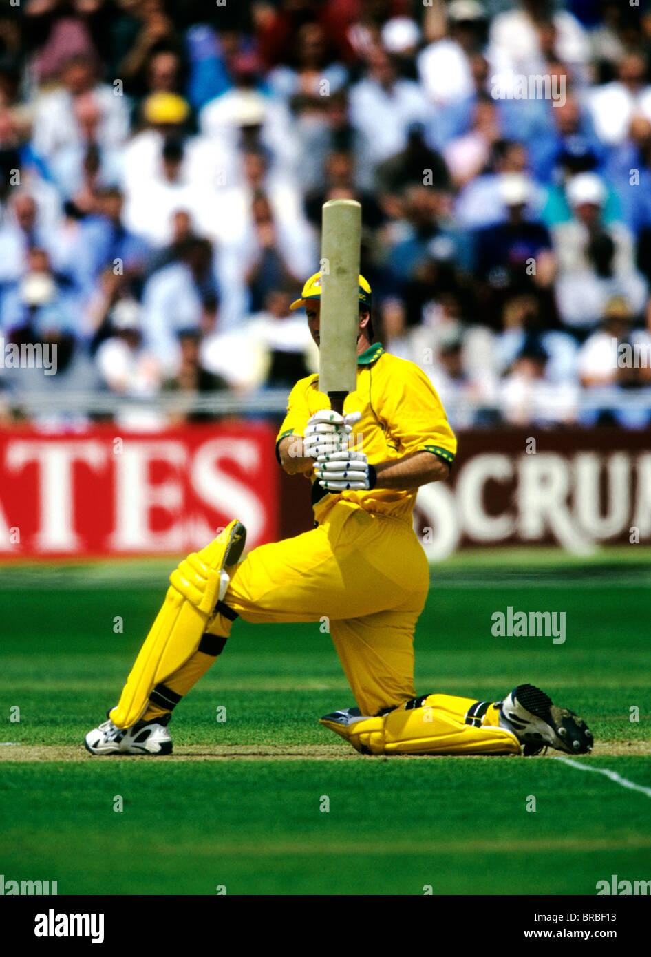 Cricketer swinging bat in cricket match Stock Photo - Alamy