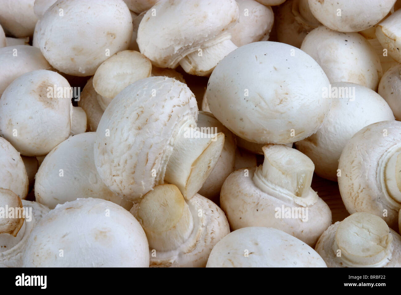 closed cup mushrooms Stock Photo - Alamy
