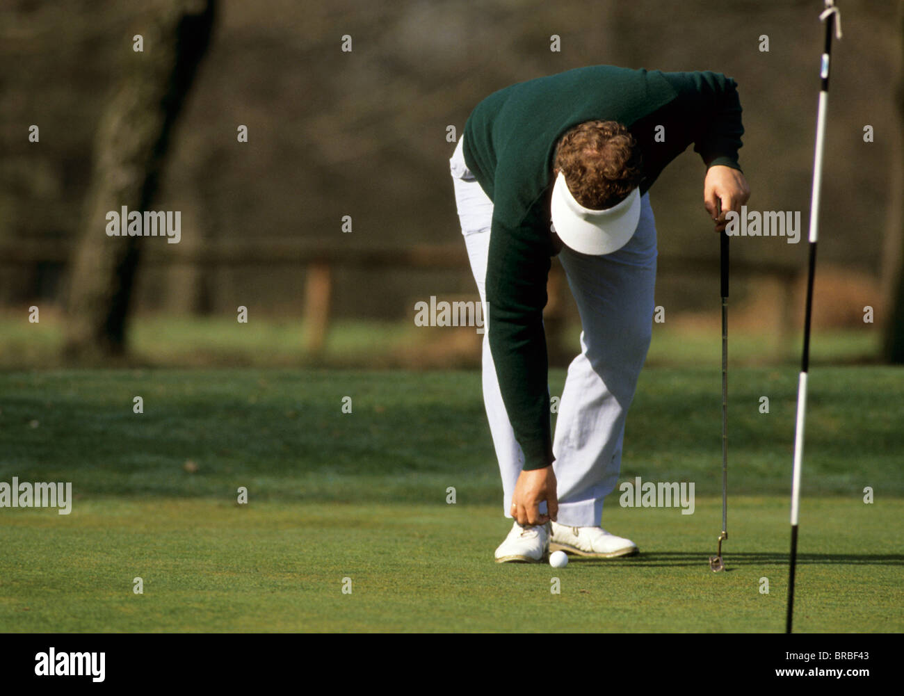 Man putting on golf course Stock Photo - Alamy