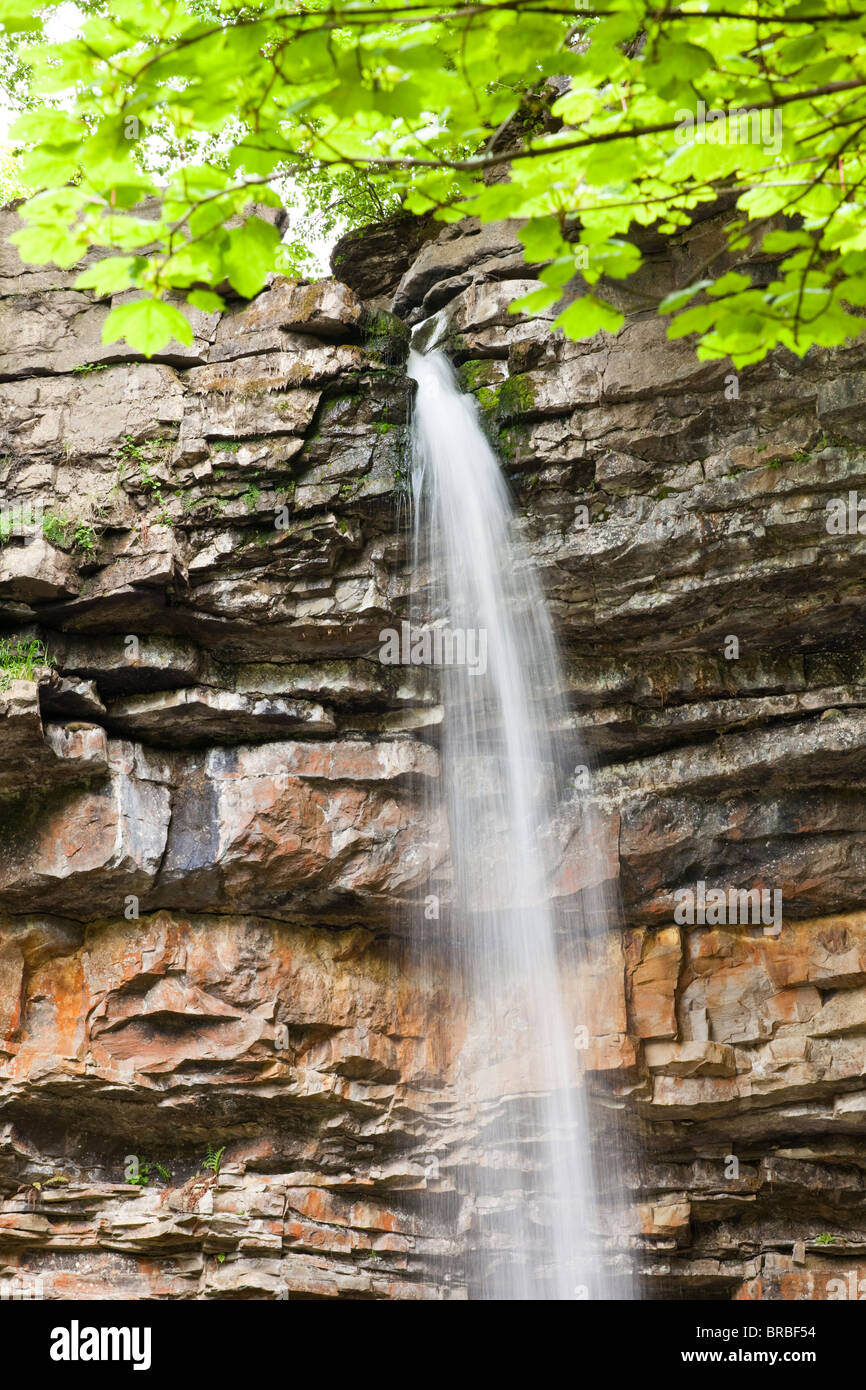 Hardraw Force waterfall in the Yorkshire Dales National Park, Hardraw ...