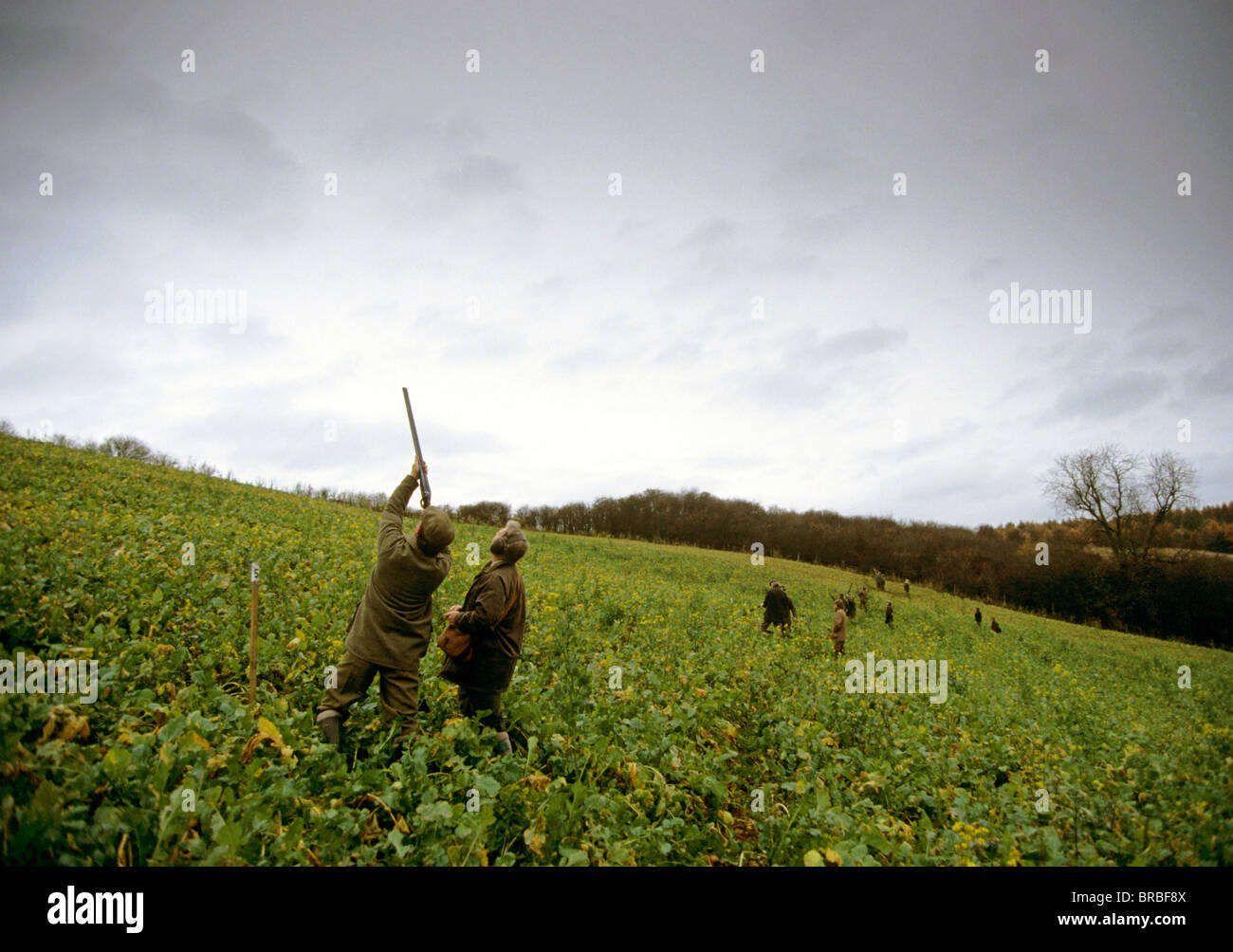Men hunting with guns aimed in the air Stock Photo - Alamy