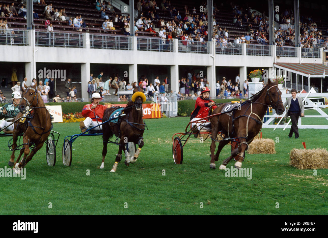 Harness Racing, Ireland Stock Photo - Alamy