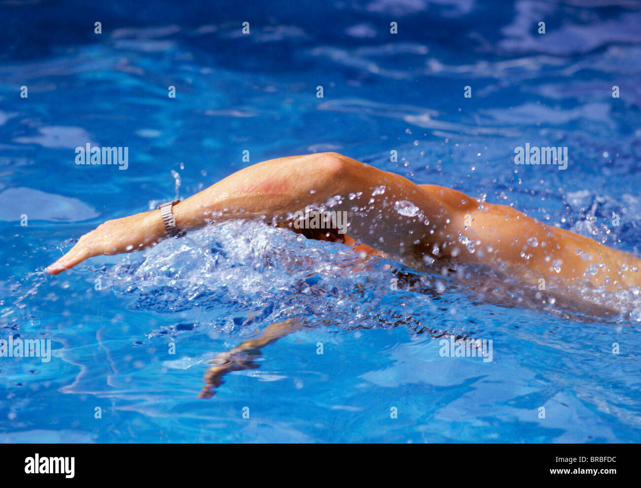 Man swimming crawl Stock Photo - Alamy