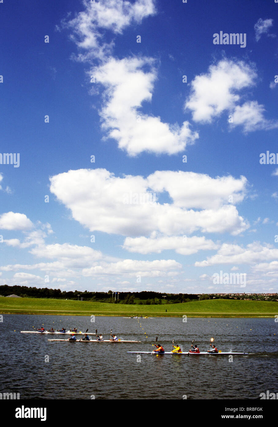Rowing team in river Stock Photo - Alamy