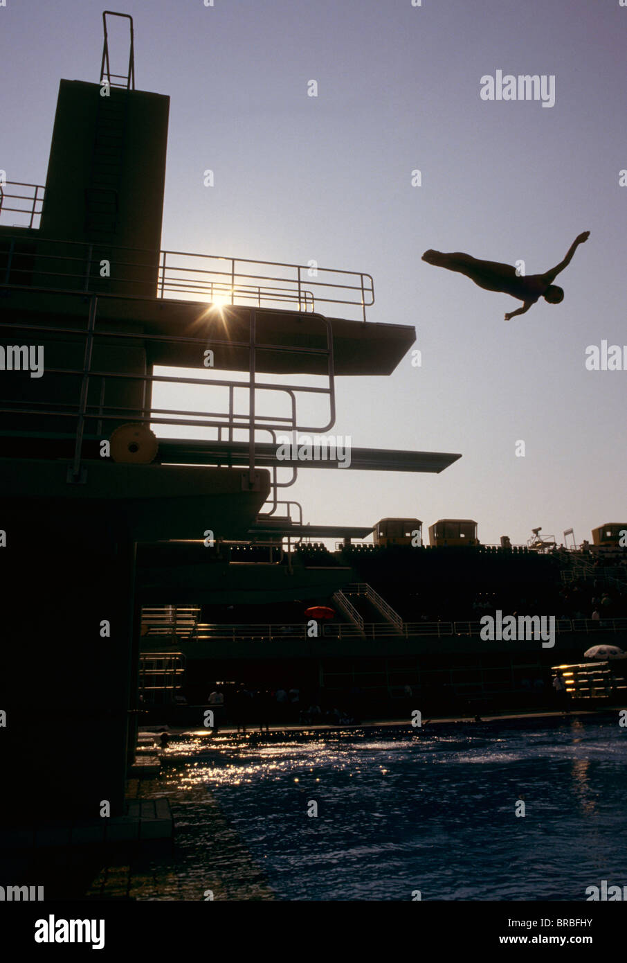 Person diving off board into pool Stock Photo - Alamy