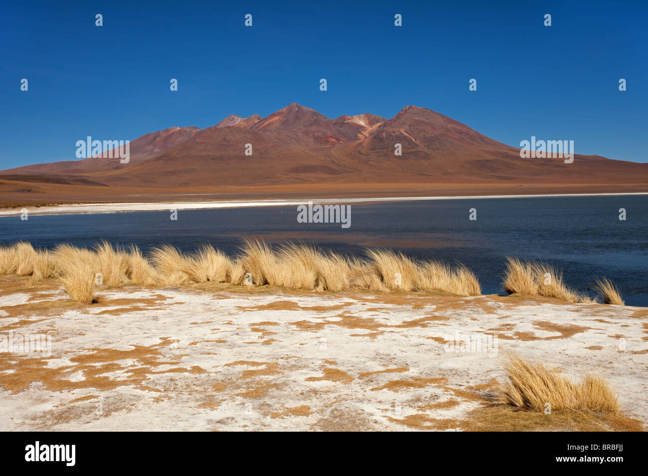 Eduardo avaroa national park hi-res stock photography and images - Alamy