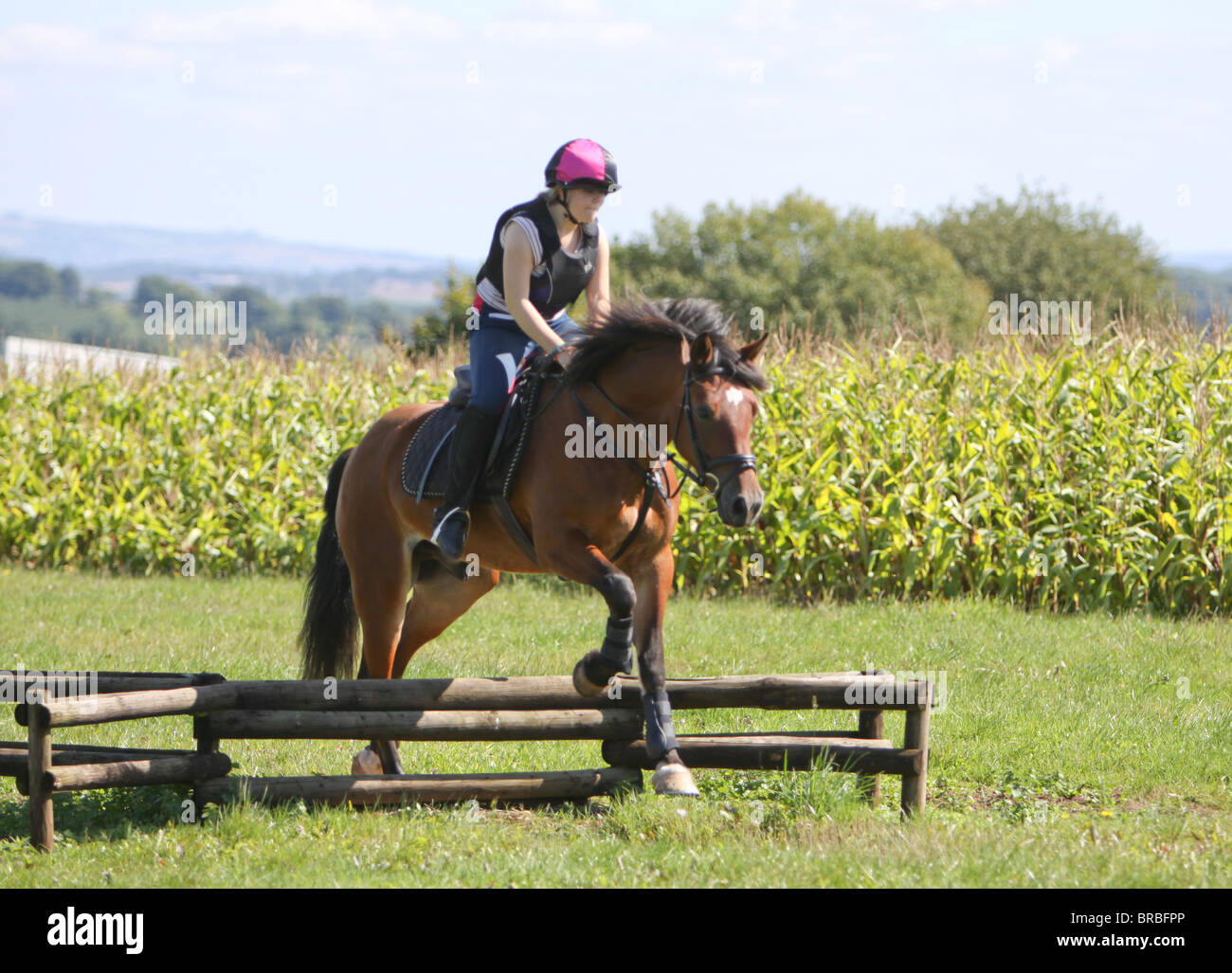 Welsh pony jumping High Resolution Stock Photography and Images - Alamy