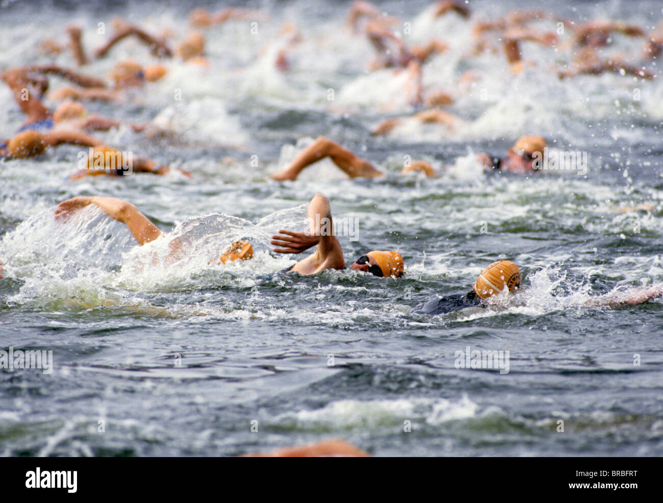 Group of people swimming together Stock Photo - Alamy