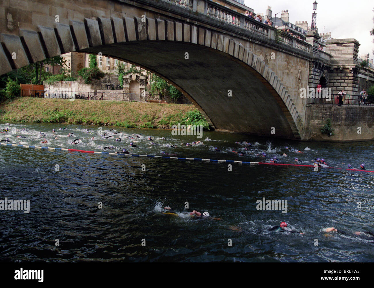 Group of competitive swimmers going under a bridge Stock Photo - Alamy