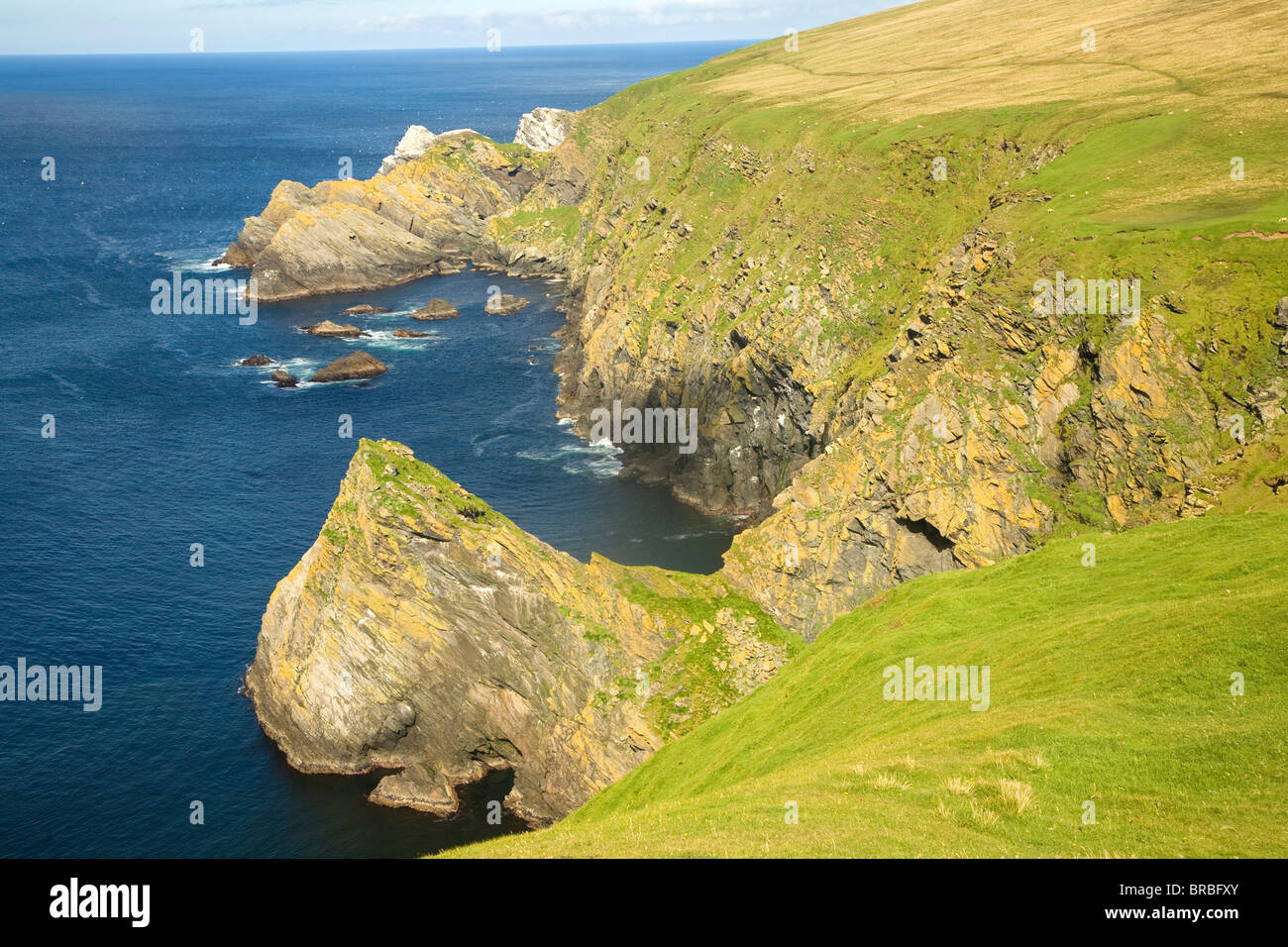 Cliffs coastal scenery, Hermaness, Unst, Shetland islands, Scotland ...