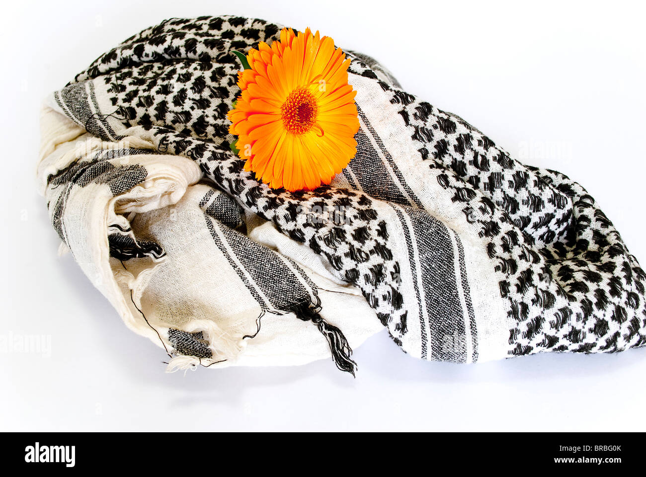 Israel arab Cut Out Stock Images & Pictures - Alamy