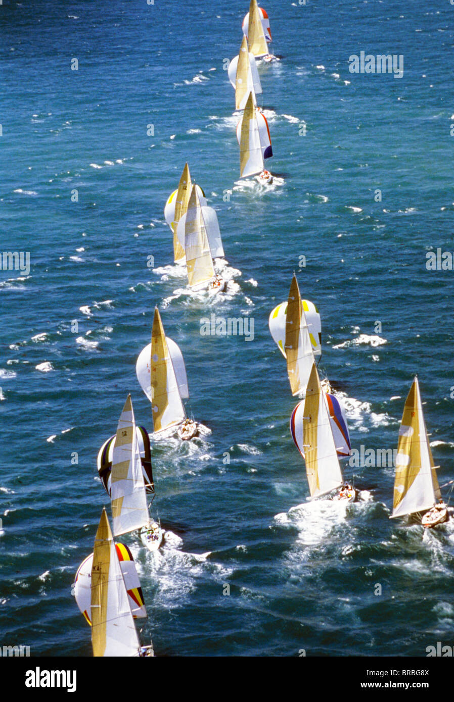 Yachts race off the coast in straight line Stock Photo - Alamy
