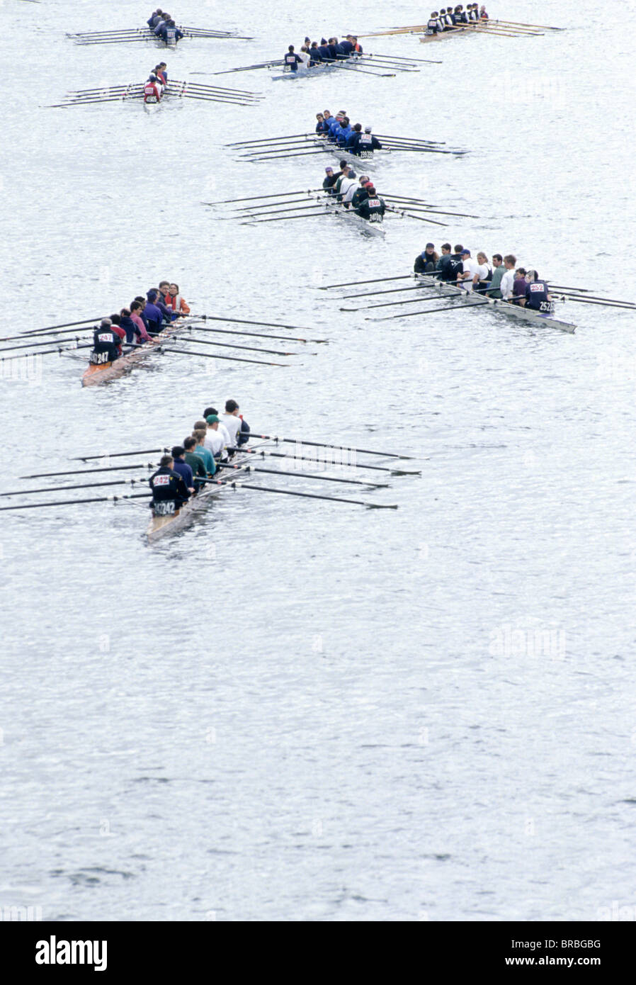 Sets of eights rowing on River Thames Stock Photo - Alamy