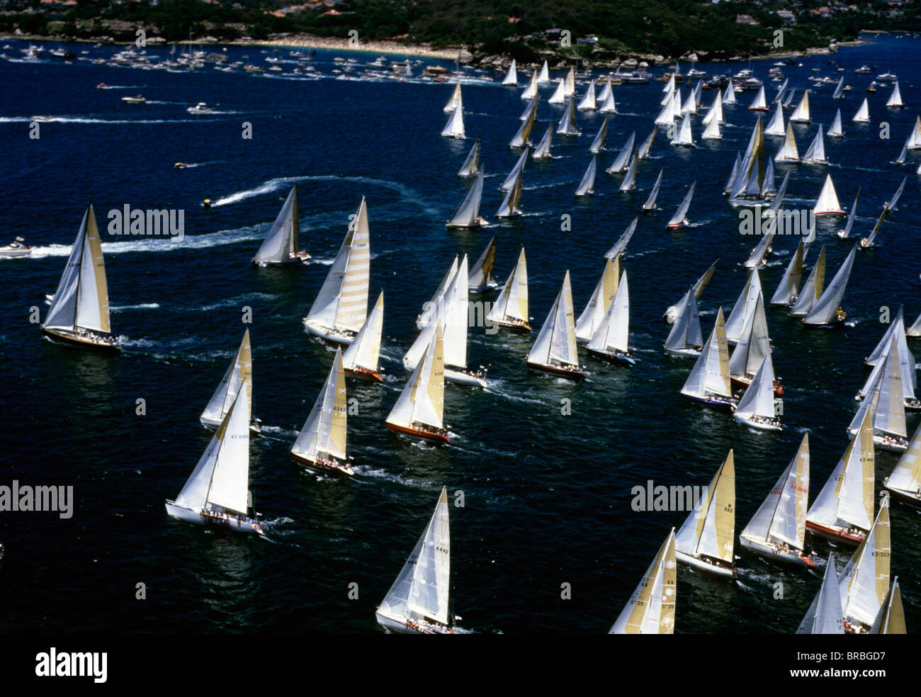 Racing yachts line hi-res stock photography and images - Alamy