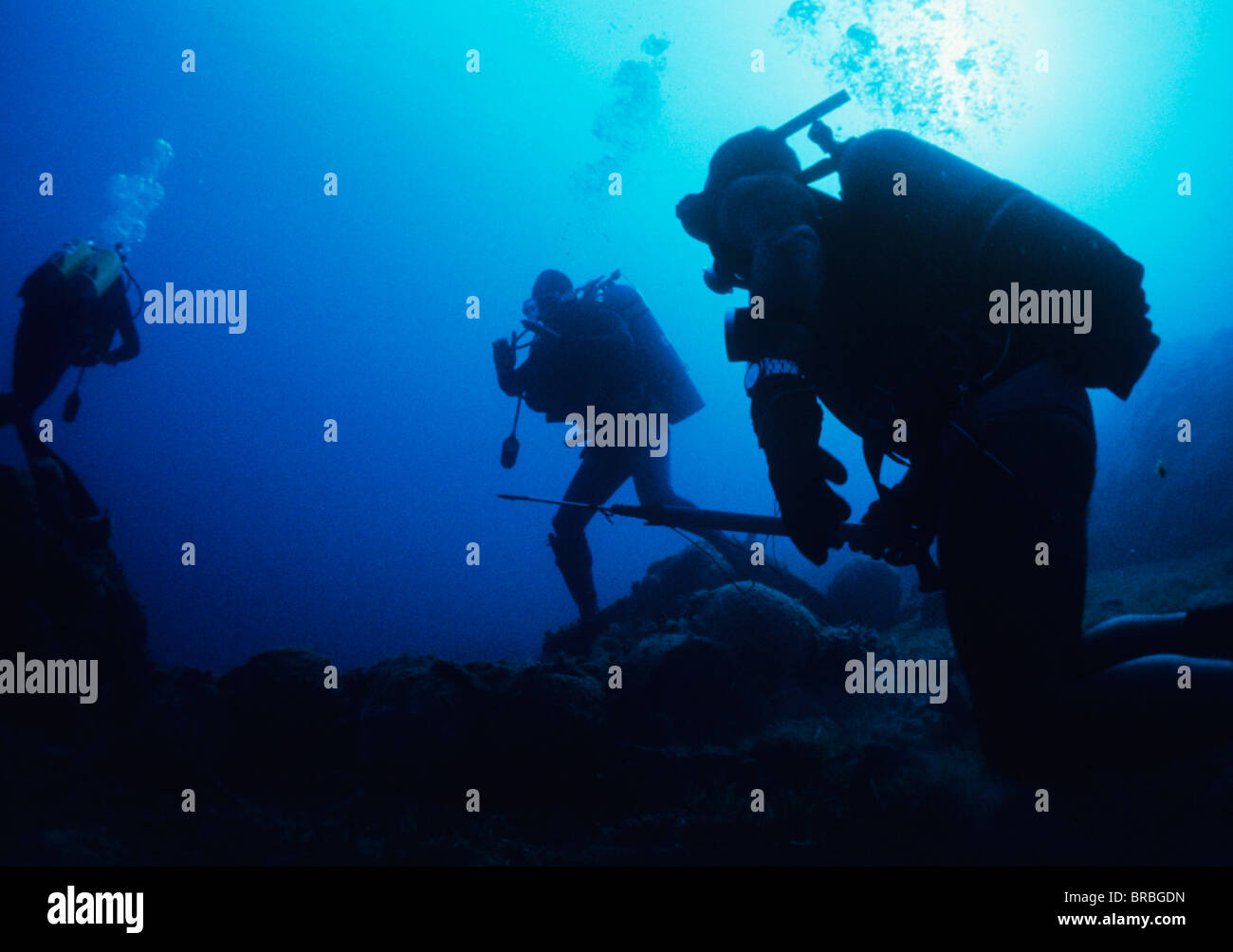Spreagun hi-res stock photography and images - Alamy