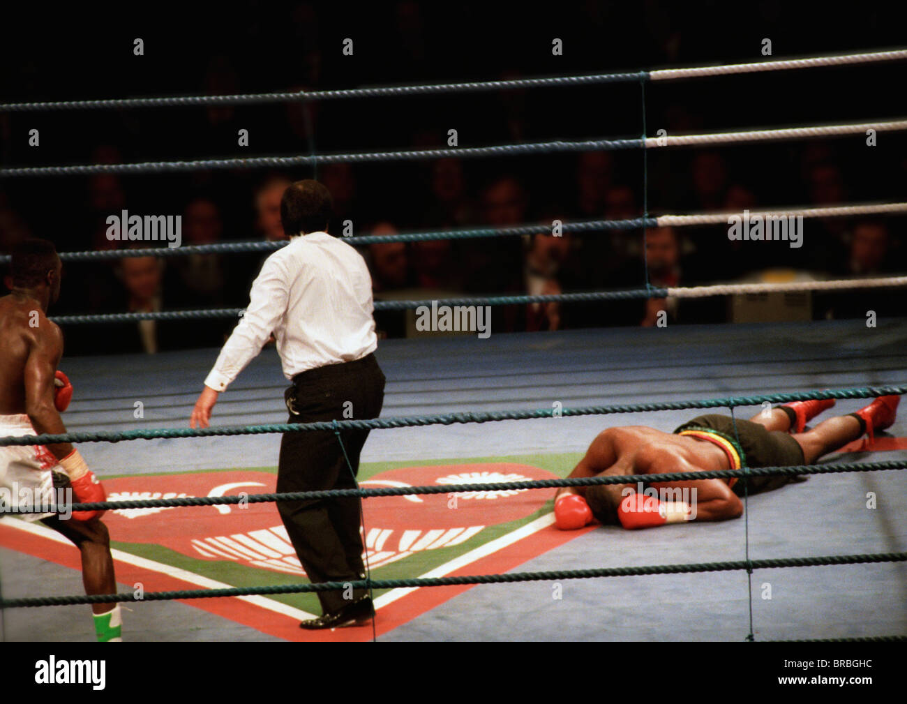 Two boxers fight ring hi-res stock photography and images - Alamy