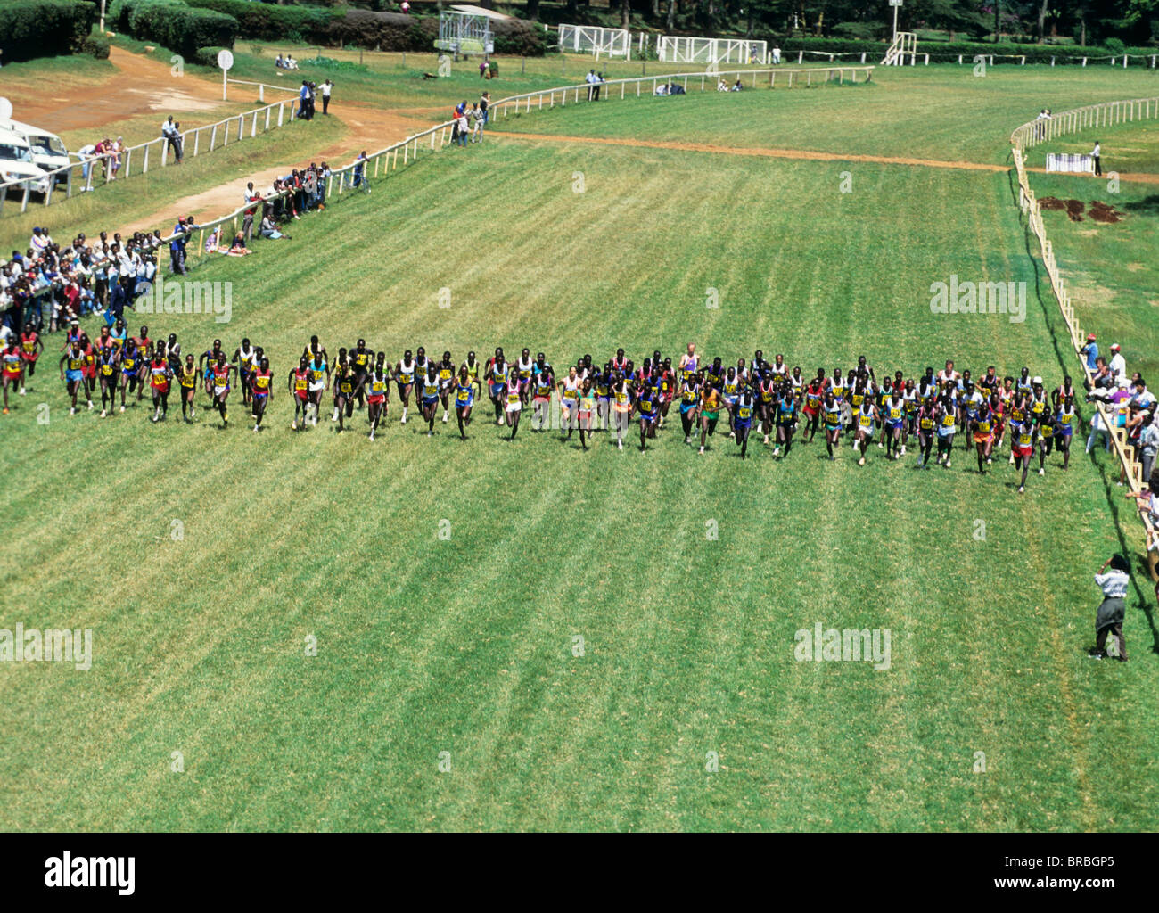 Group of runners racing along a grassy horse track Stock Photo - Alamy