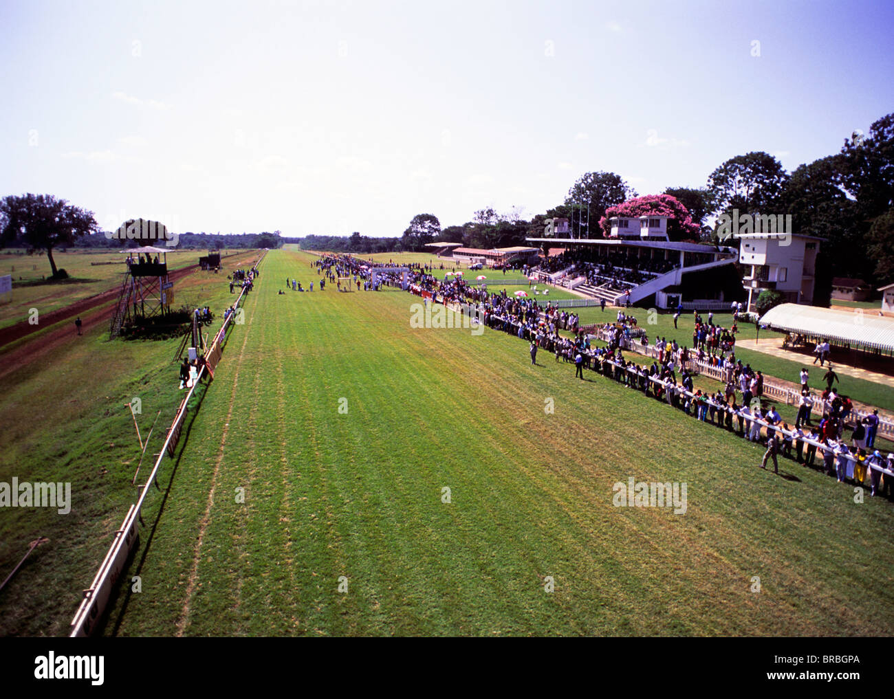 Track and field spectators hi-res stock photography and images - Alamy