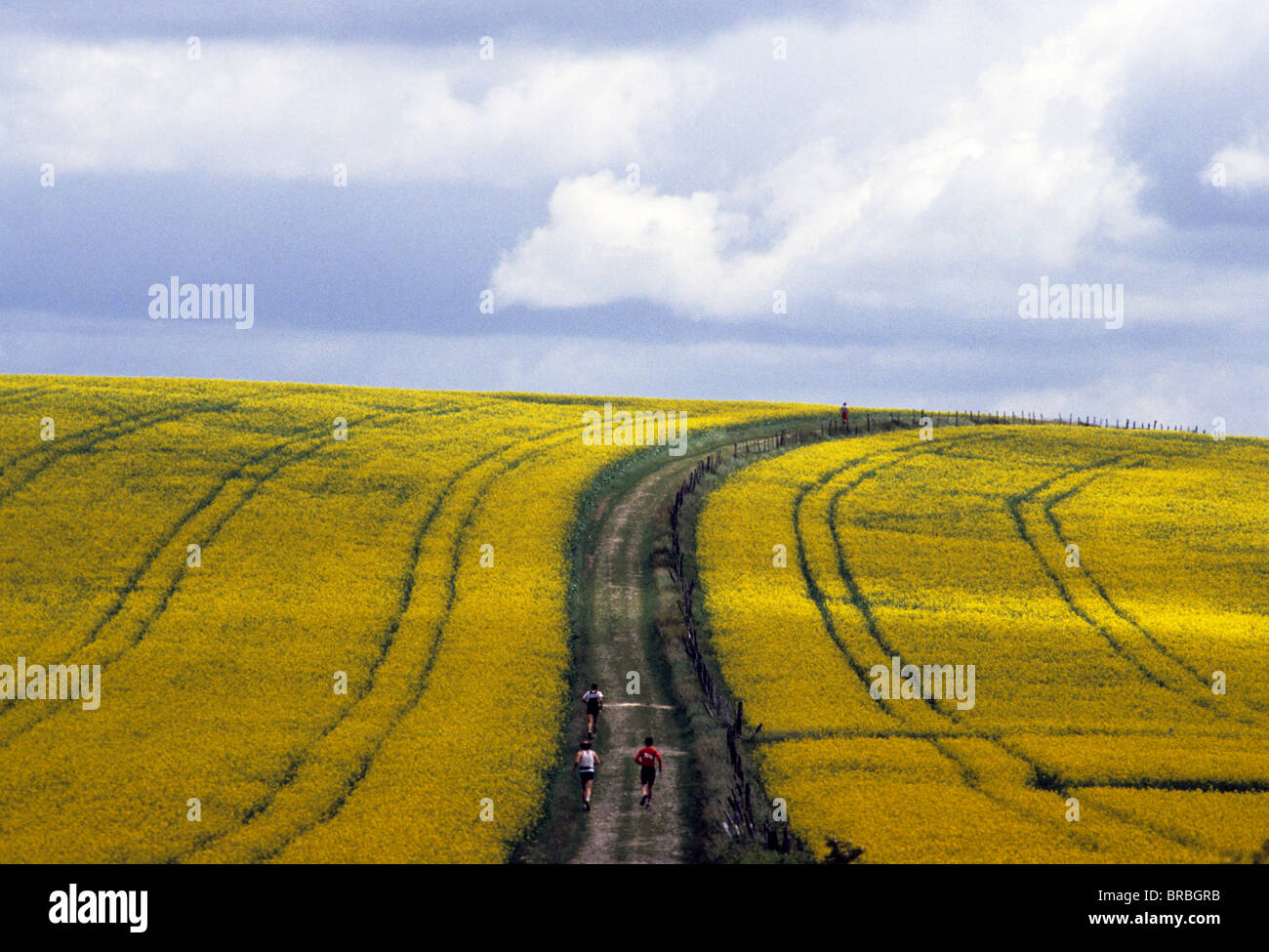 Runners on a countryside path Stock Photo - Alamy