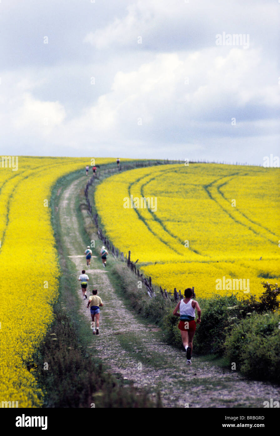 Runners on a countryside path Stock Photo - Alamy