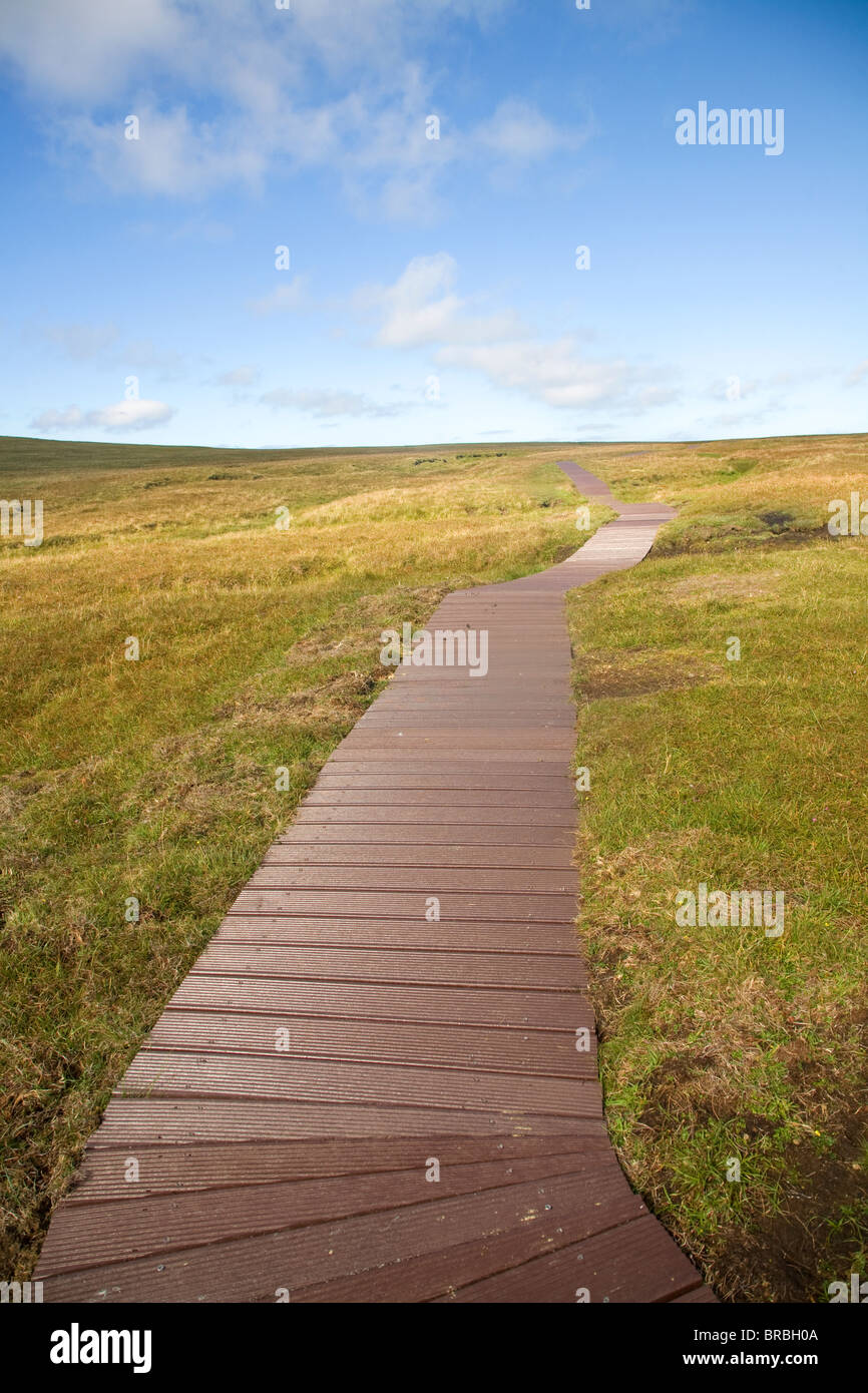 Footpath walkway, Hermaness, Unst, Shetland Islands, Scotland Stock ...