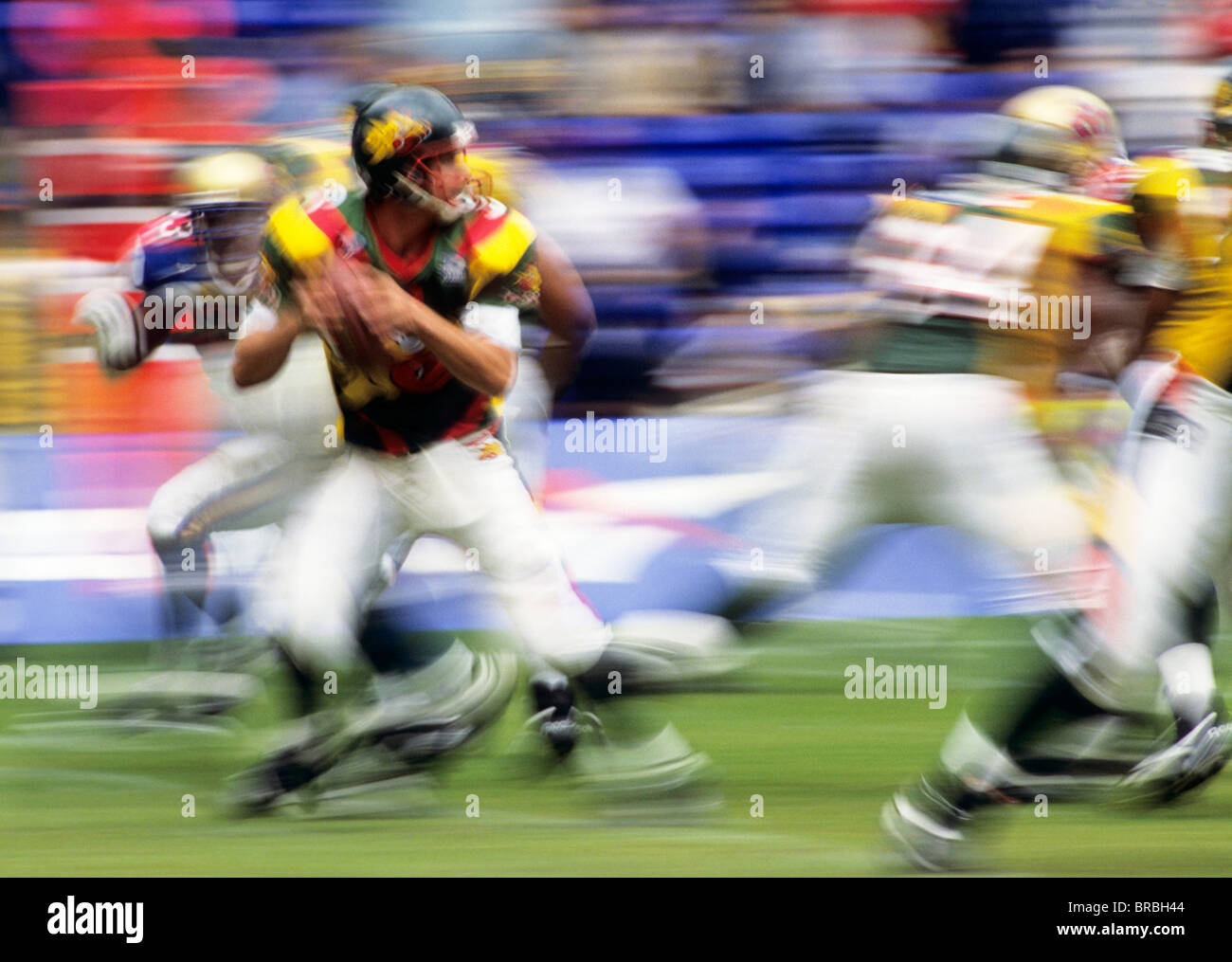 Quarter back going back for a pass Stock Photo - Alamy