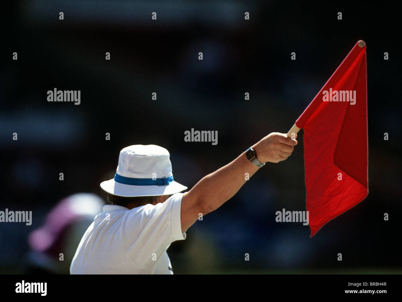 Umpire holding up a flag Stock Photo - Alamy