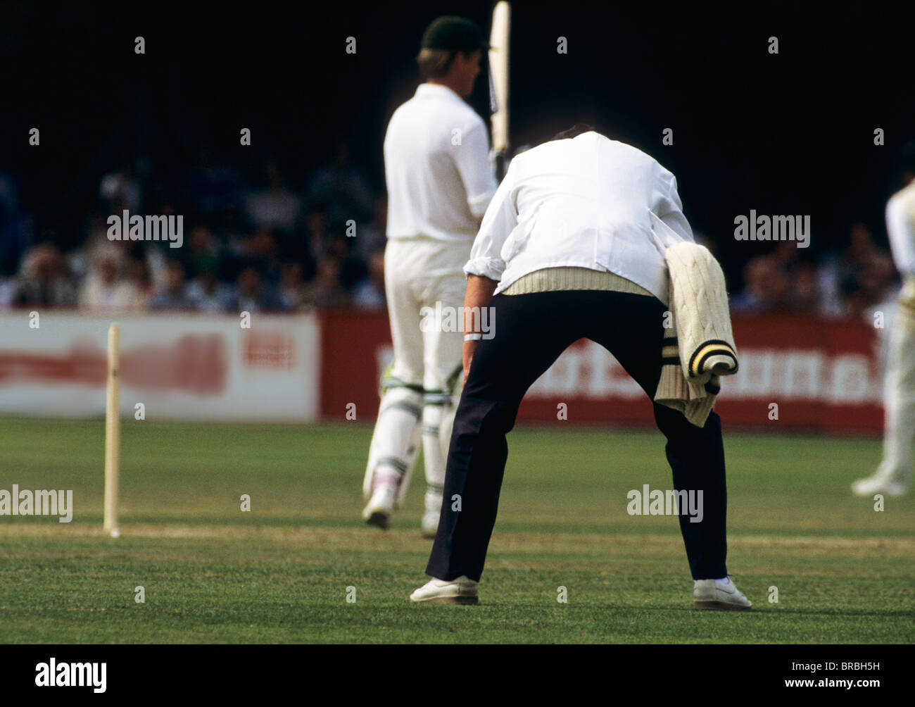 Cricket umpire and stumps hi-res stock photography and images - Alamy