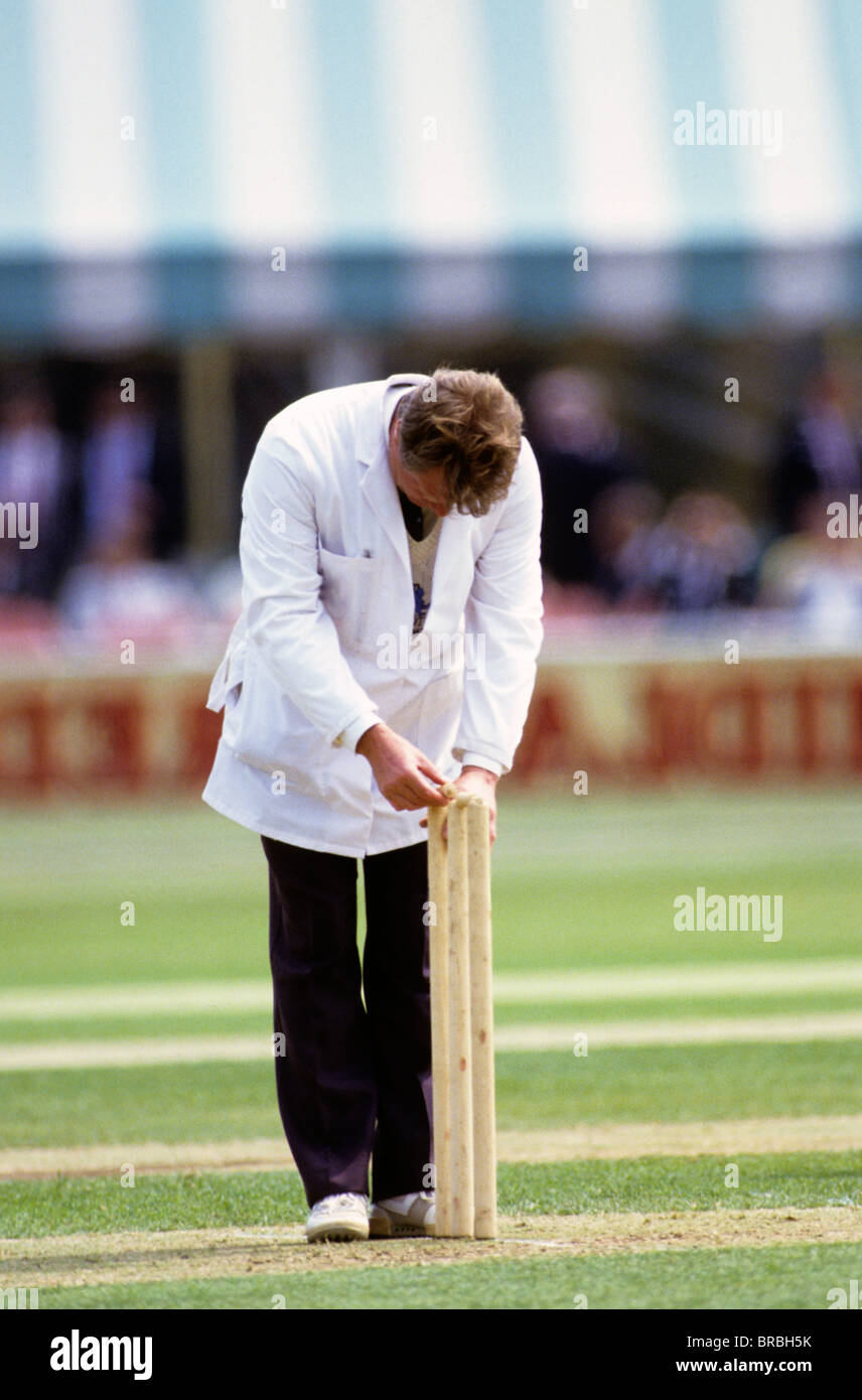 Official placing wicket on stumps Stock Photo - Alamy
