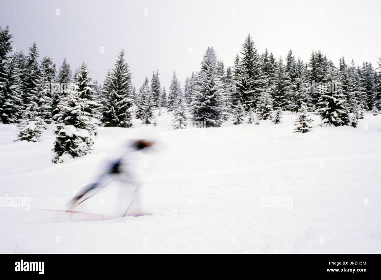 Tracking pole hi-res stock photography and images - Alamy