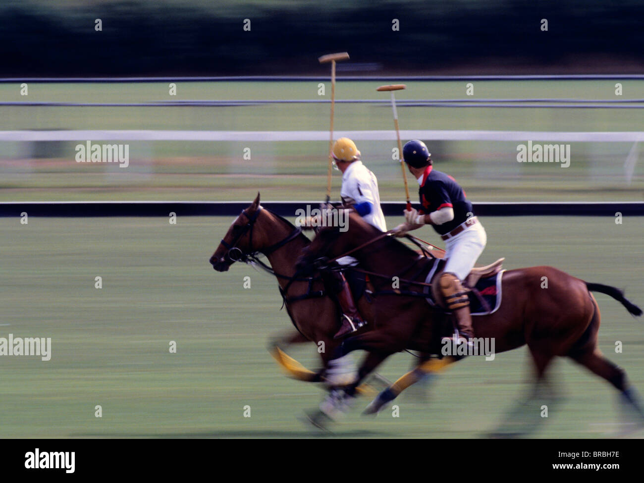 Two polo players ride hard to ball Stock Photo - Alamy