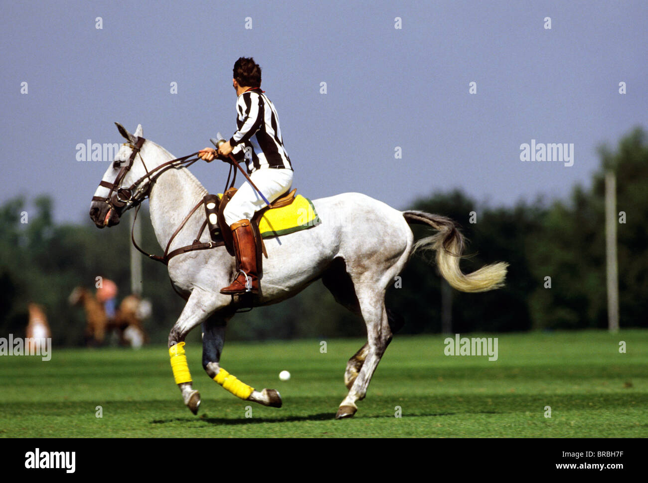 Polo referee watches action from his horse Stock Photo - Alamy