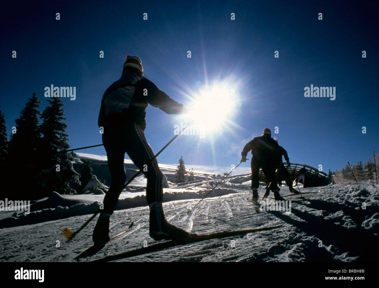 Cross country skiers go uphill against climbing sun Stock Photo - Alamy