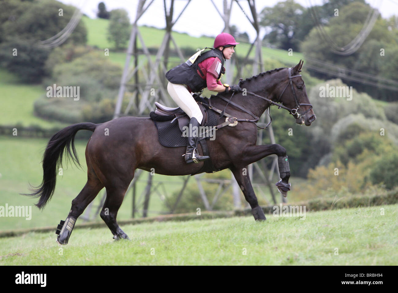 Horse and rider galloping between fences during the cross country phase ...
