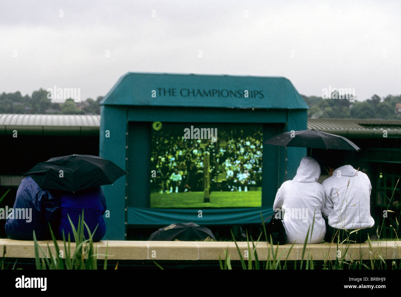 Two couples huddle under umbrellas to watch reply of prior games on ...