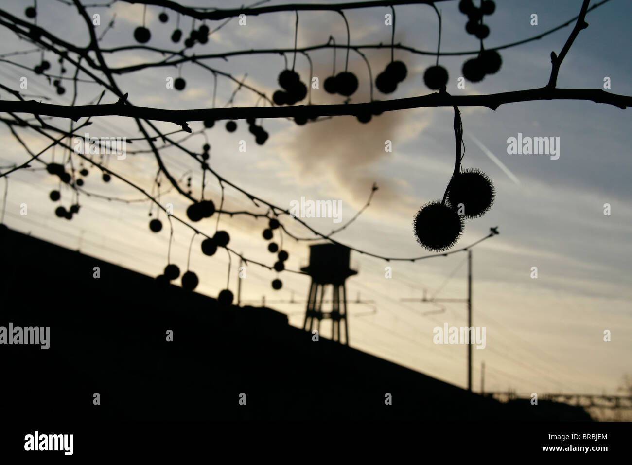 Tranches High Resolution Stock Photography and Images - Alamy