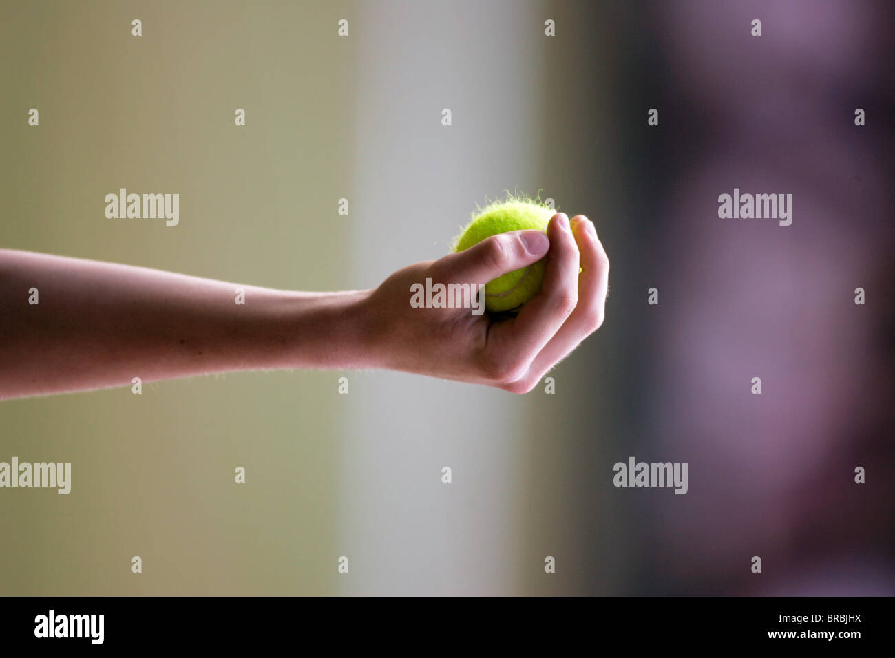 Hand holding a tennis ball Stock Photo - Alamy