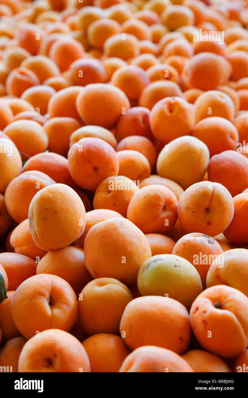 Golden apricots hi-res stock photography and images - Alamy