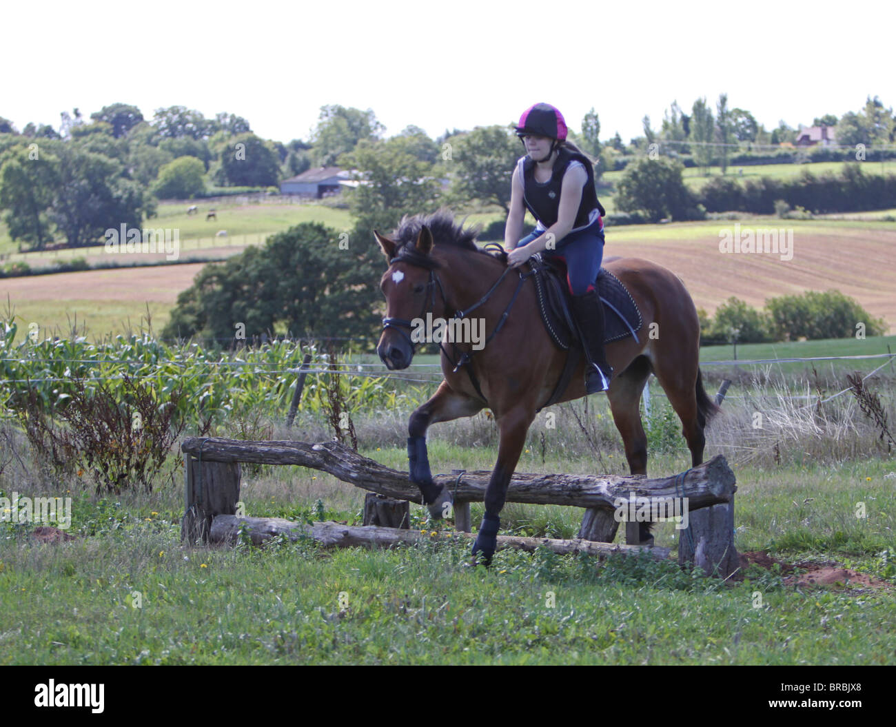 A teeage girl riding a beautiful bay Welsh Cob Stock Photo - Alamy