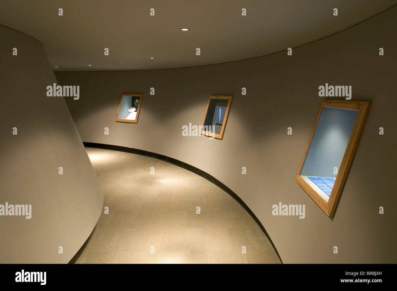 Detail at The Core Building Eden Project Interior Stock Photo - Alamy