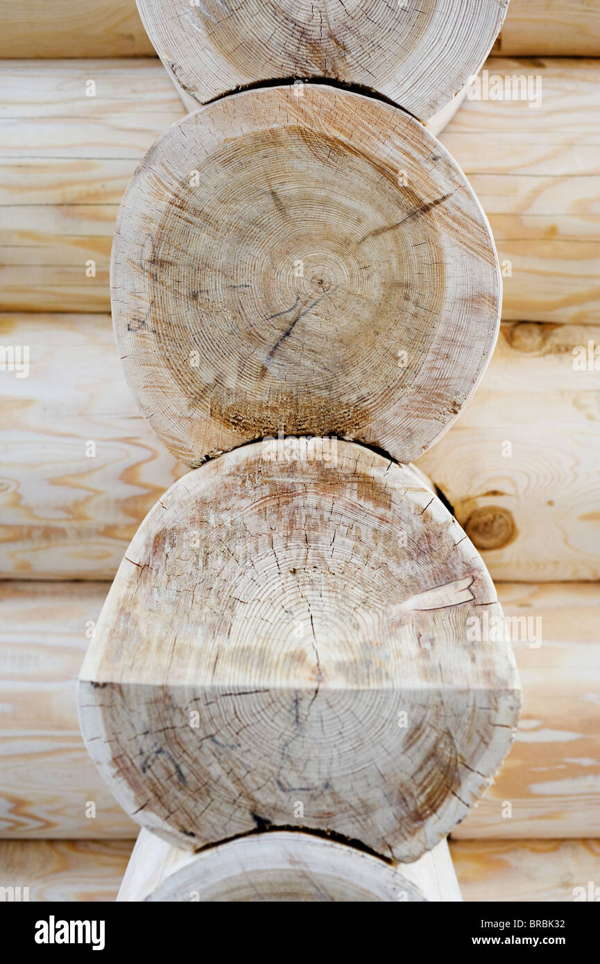 Closeup shot section log hi-res stock photography and images - Alamy