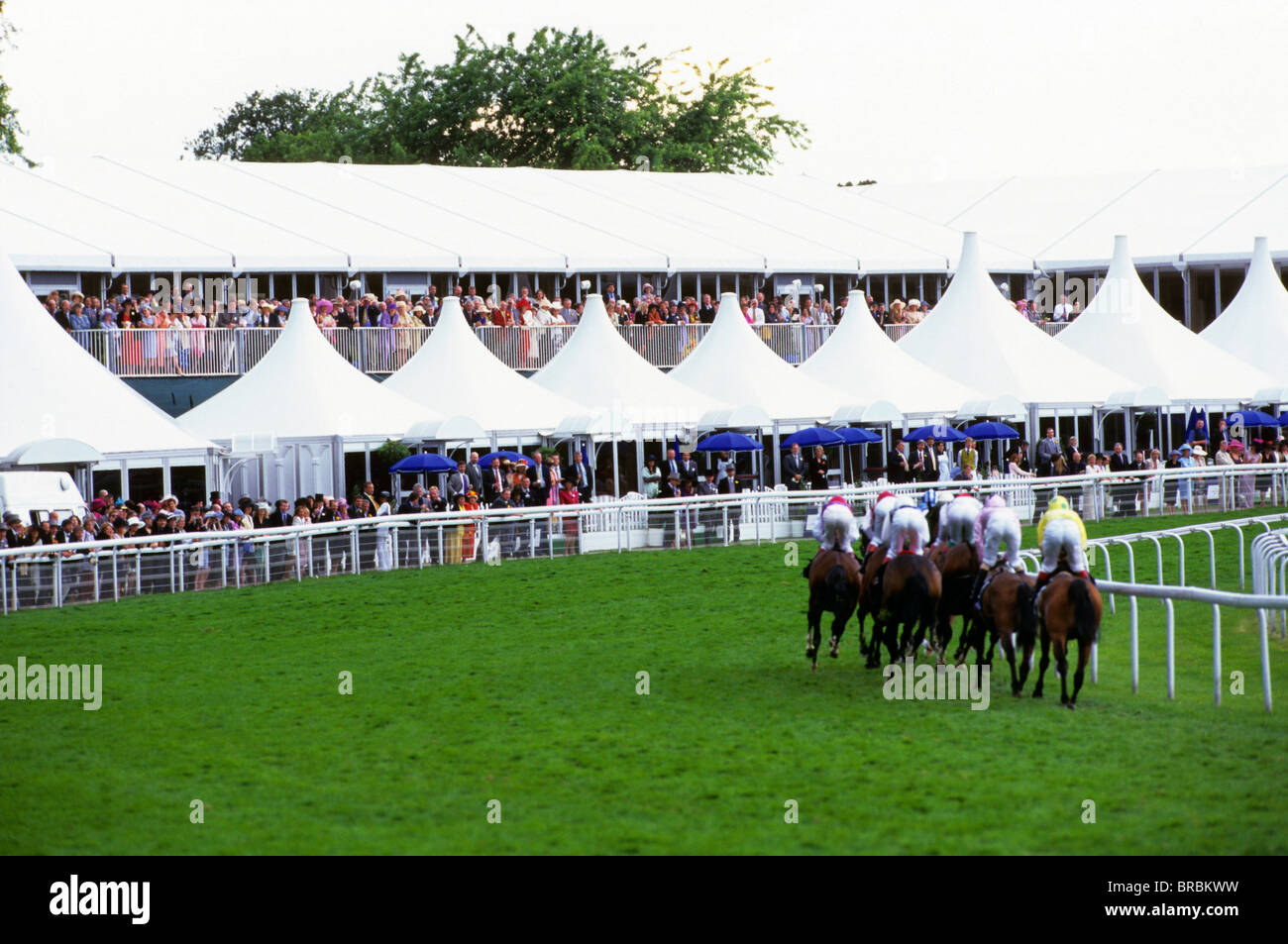 Horses racing at a horse track Stock Photo - Alamy
