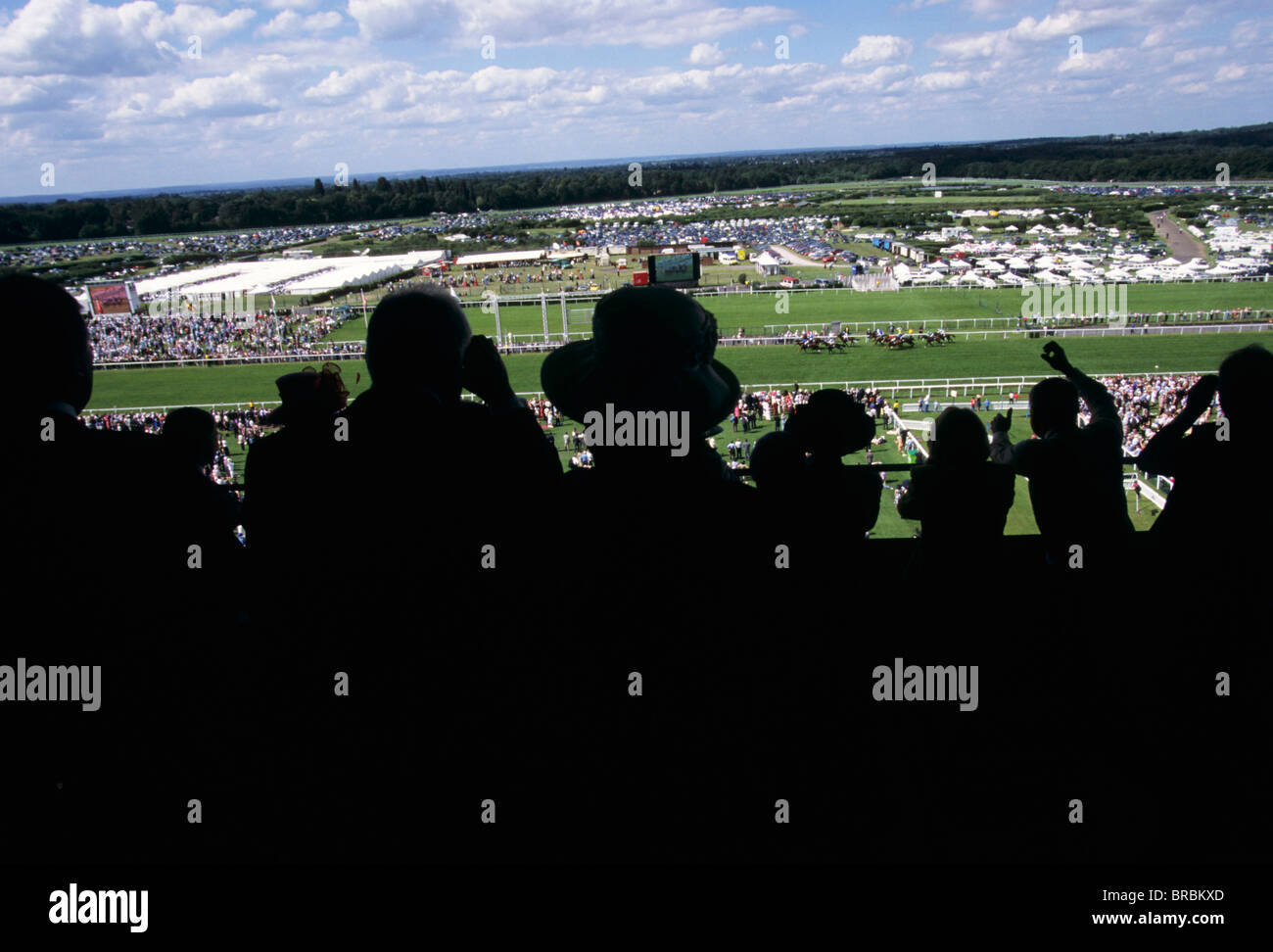Cheering crowd horse race hi-res stock photography and images - Alamy