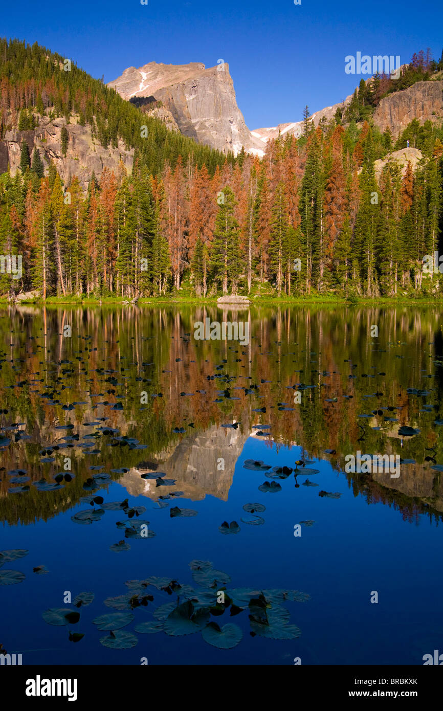 Nymph Lake, Rocky Mountain National Park, CO, USA Stock Photo - Alamy