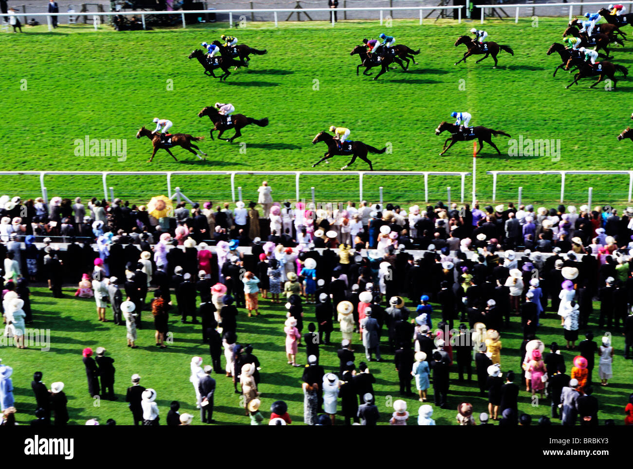 Spectators at horse racing watch the horses cross the finish line Stock ...