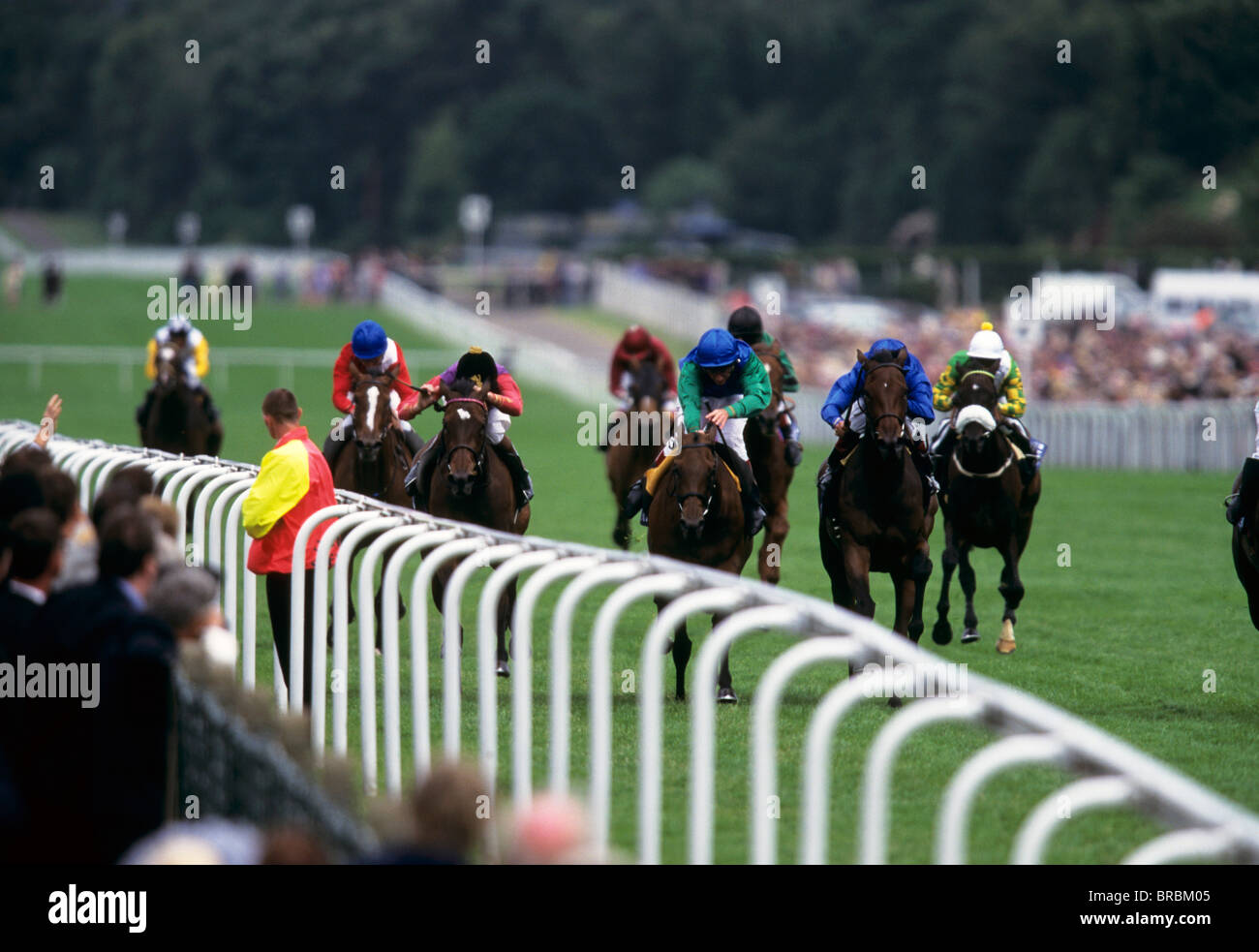 Horse race towards the finish line along the rail Stock Photo - Alamy