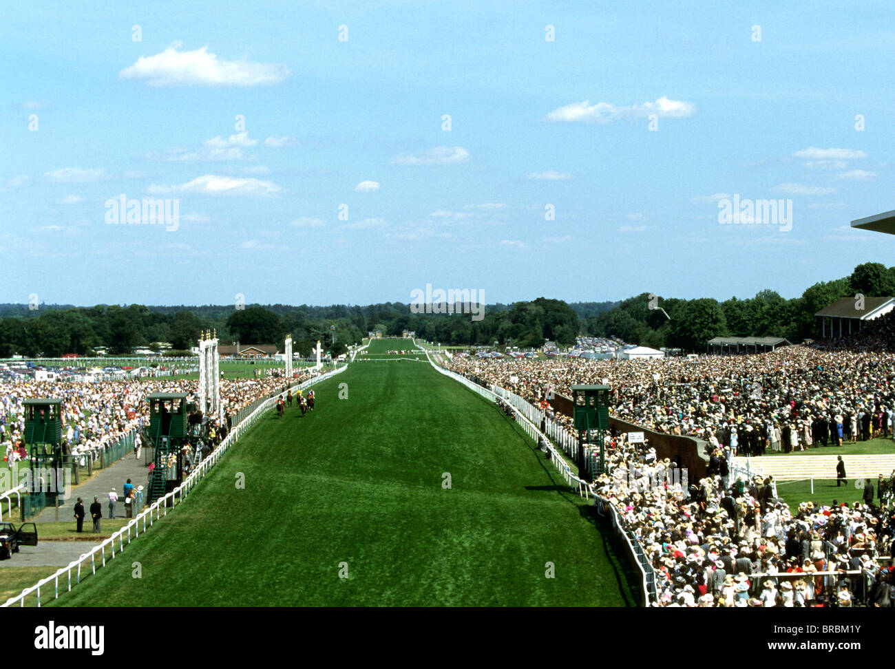 Long range view of horse race as they approach the finish line Stock ...