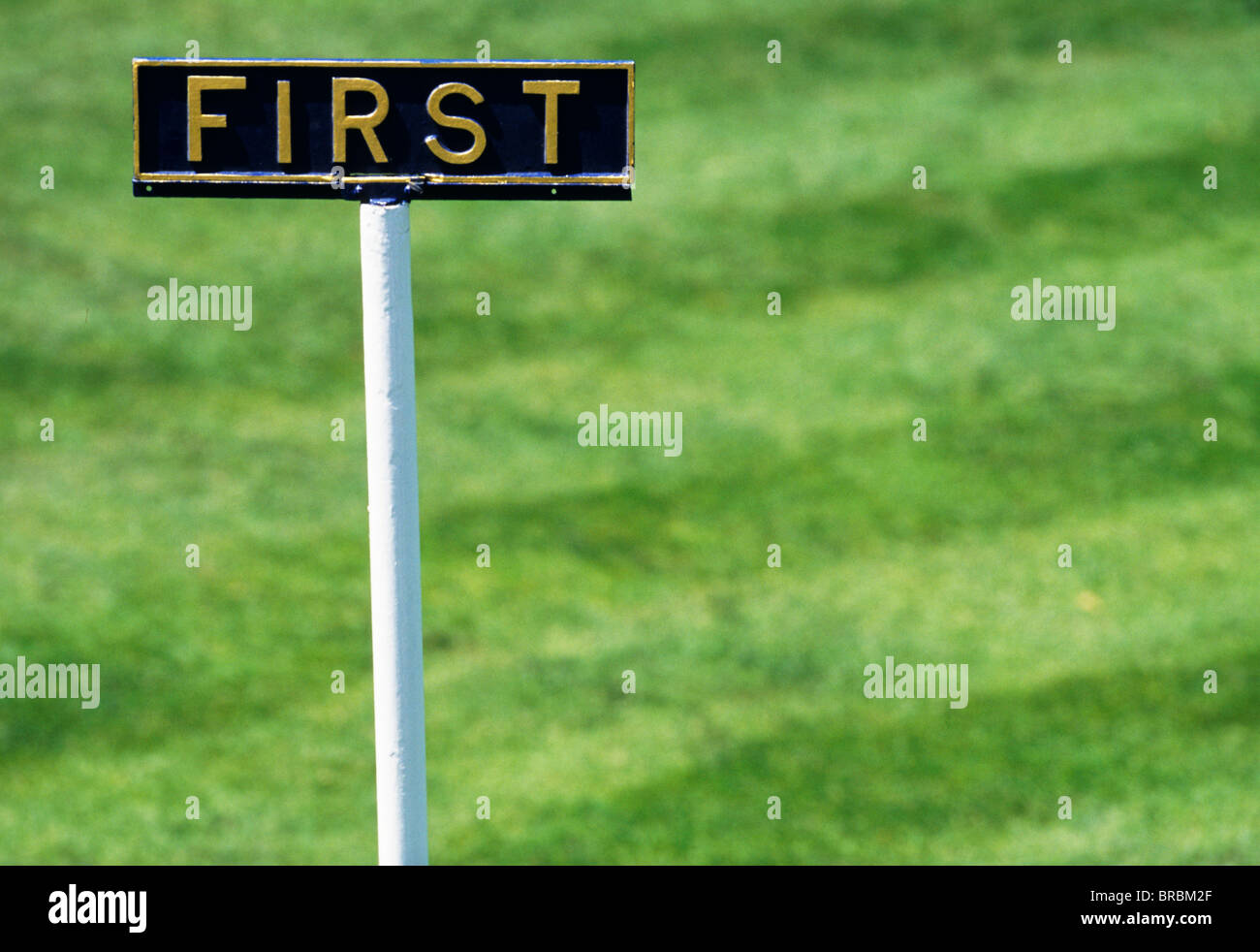 Horse race winner hi-res stock photography and images - Alamy