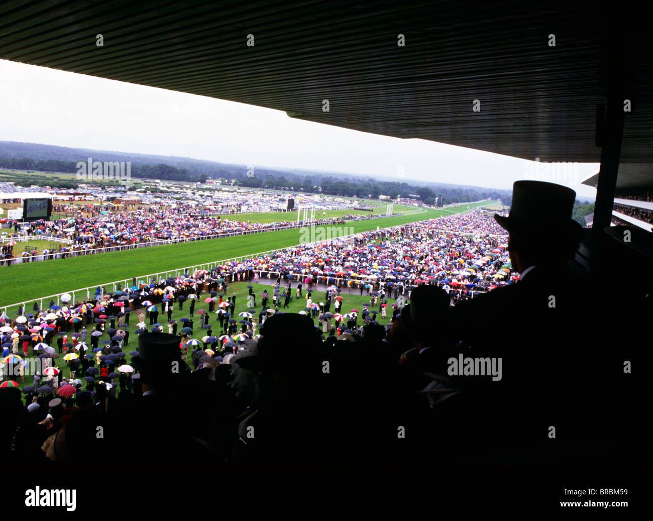 A view grandstand hi-res stock photography and images - Alamy